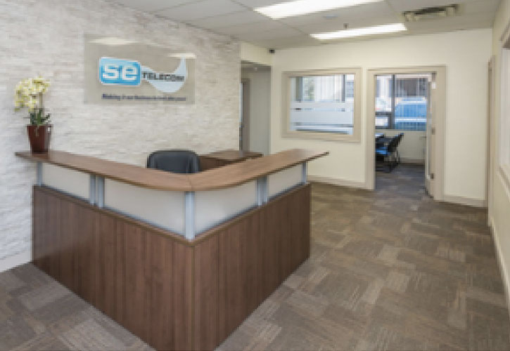 Growth Chart - SE Telecom